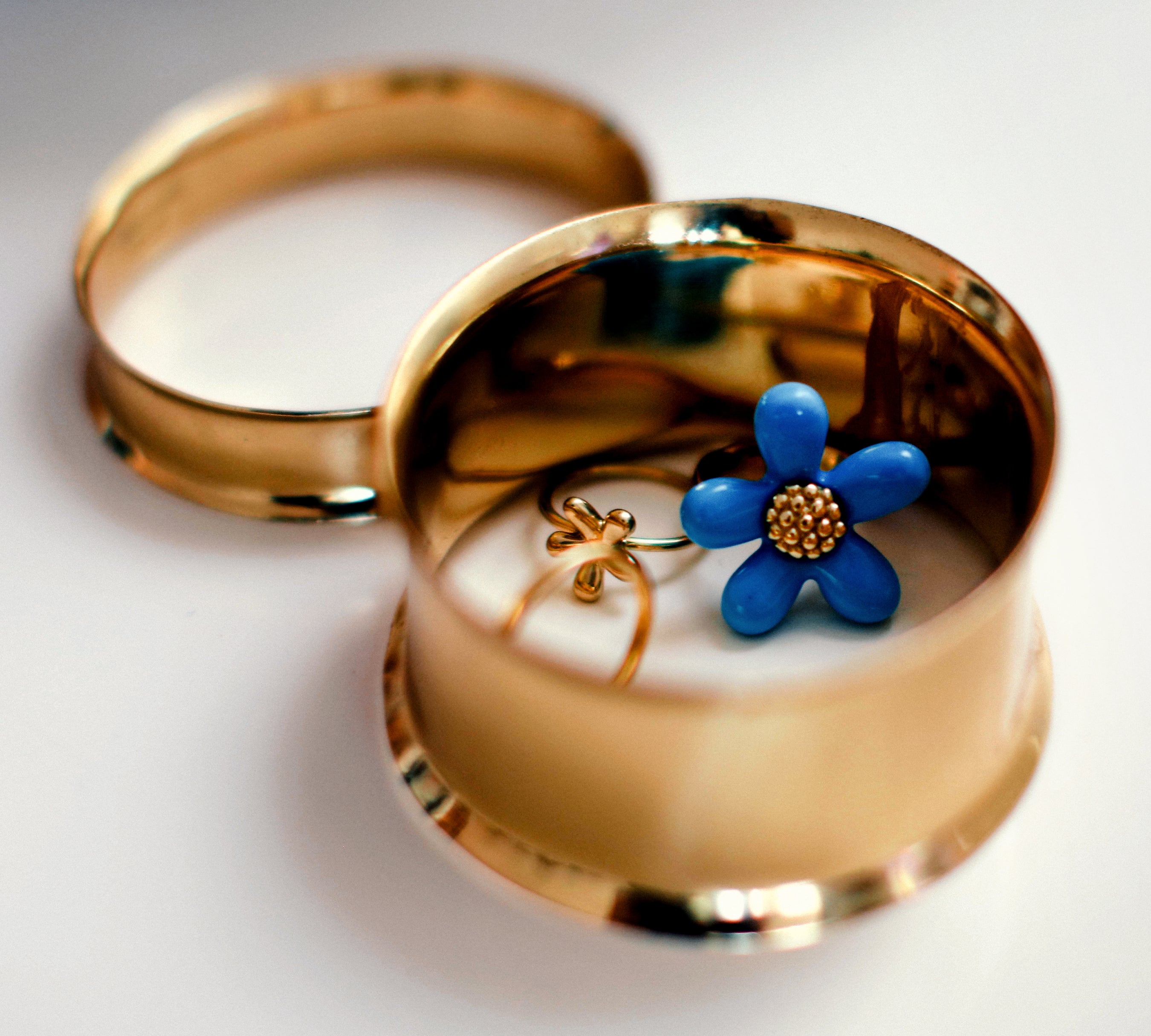 Dinosaur Designs US | Australian Design Studio